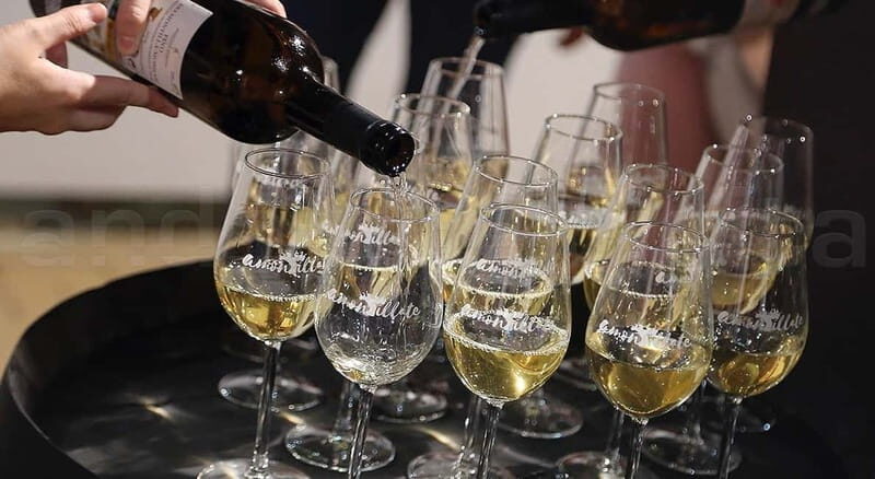 Montilla-Moriles Wine Tasting - Final Thoughts