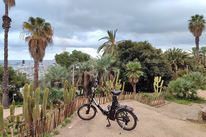 Montjuic Barcelona: Panoramic eBike Tour Views & Tapas stop - Who Should Consider This Tour?
