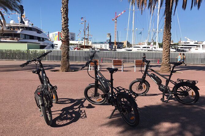 Montjuic Electric Bike Tour and Relaxing Sailing Trip - A Stroll Through Parc de la Ciutadella