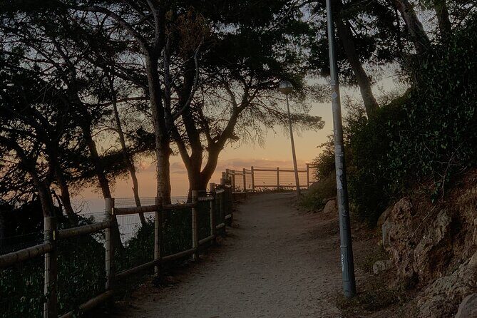 Montjuïc Magic: Hidden Pathways, Vermut Delights & Sunset Bliss - Final Thoughts