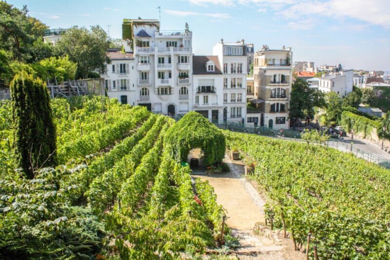 Montmartre & Sacré Coeur: 2.5-Hour Walking Tour - Practical Details & Tips