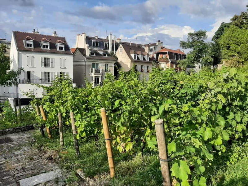 Montmartre Secret Gardens & French Goûter Private Tour - Key Points