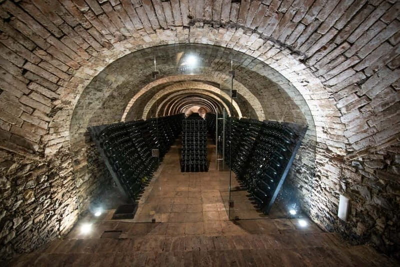 Montone: e-bike tour of the medieval village and visit to a winery - Key Points
