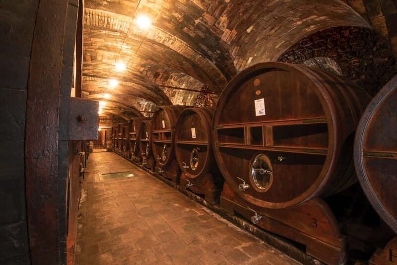 Montone: e-bike tour of the medieval village and visit to a winery - The Experience in Detail