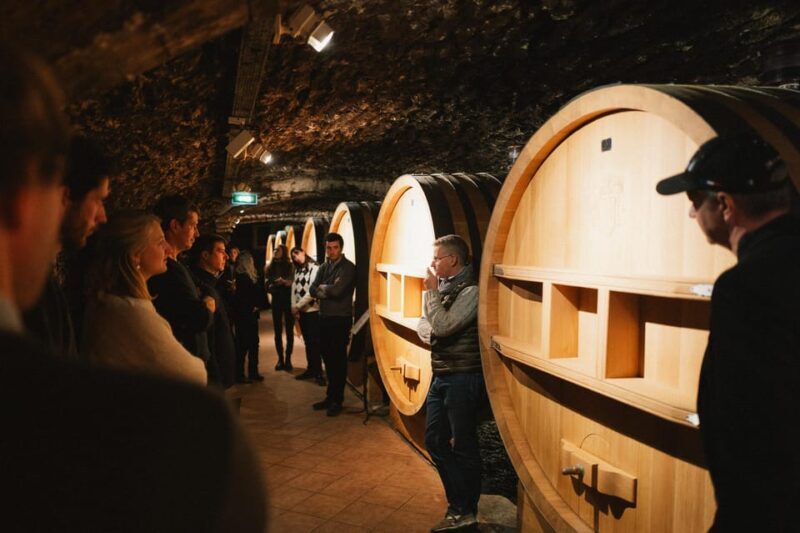 Montpellier: Full day Truffles and Chateauneuf-du-Pape Wines - Introduction: A Day of Flavors and Fragrant Discoveries