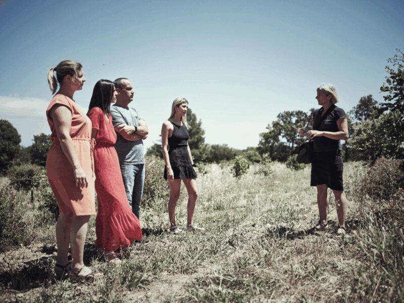 Montpellier: Full day Truffles and Chateauneuf-du-Pape Wines - FAQ