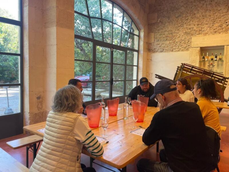 Montpellier: Half-Day Wine Tour with Lunch - An In-Depth Look at the Montpellier Half-Day Tour