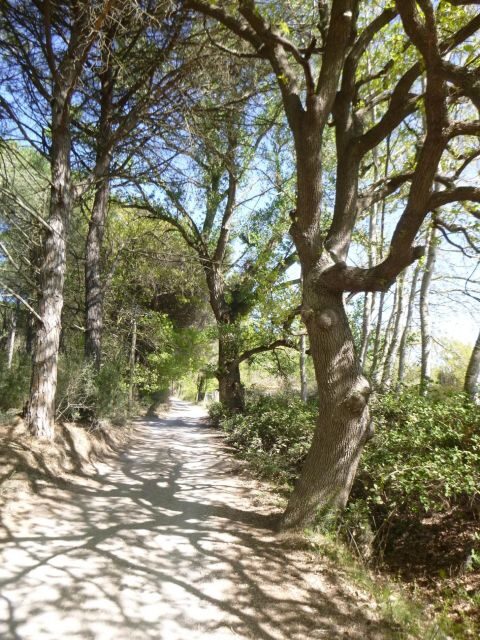 Montpellier: Personalized Day-Tour of the South of France - Key Points