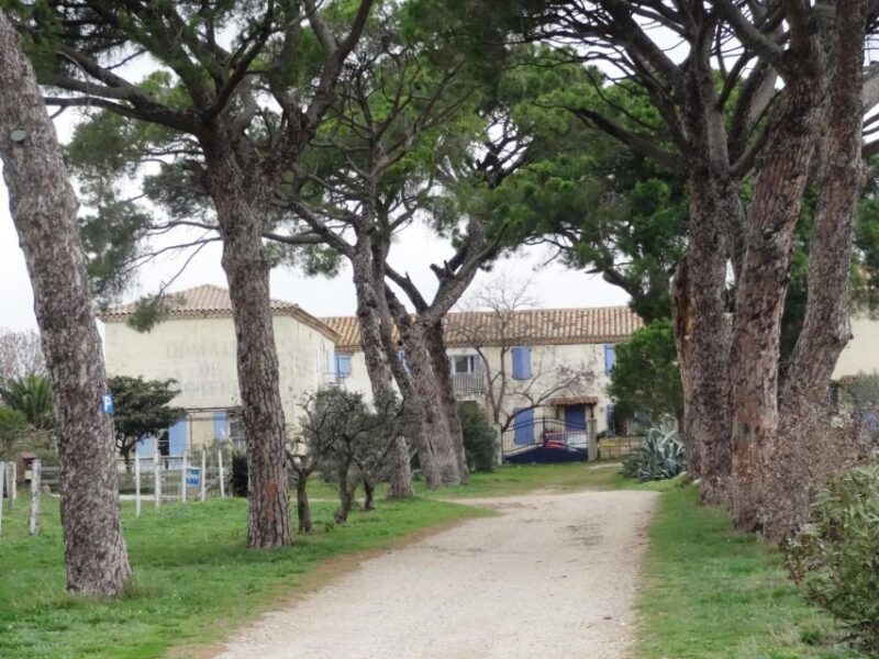 Montpellier: Personalized Day-Tour of the South of France - An In-Depth Look at the Tour Experience