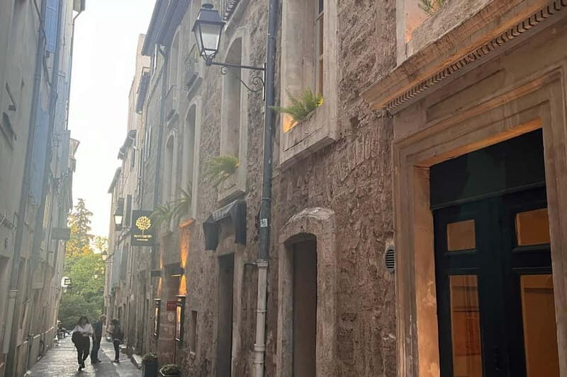 Montpellier: Private Walking Tour with Licensed Guide - Key Points