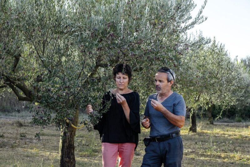 Montpellier : Visit lavender field and an Olive Oil Mill - The Olive Oil Mill: An Authentic Taste of Local Traditions