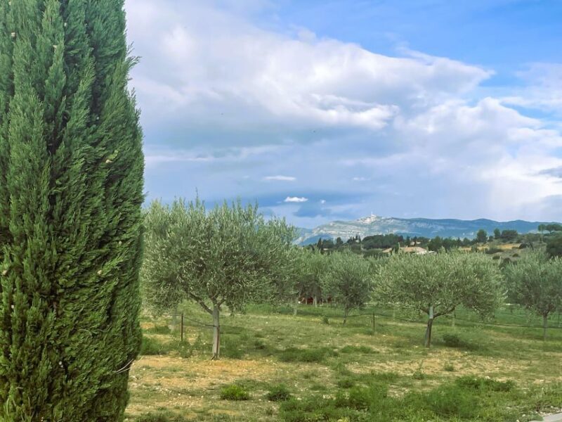 Montpellier : Visit lavender field and an Olive Oil Mill - FAQs