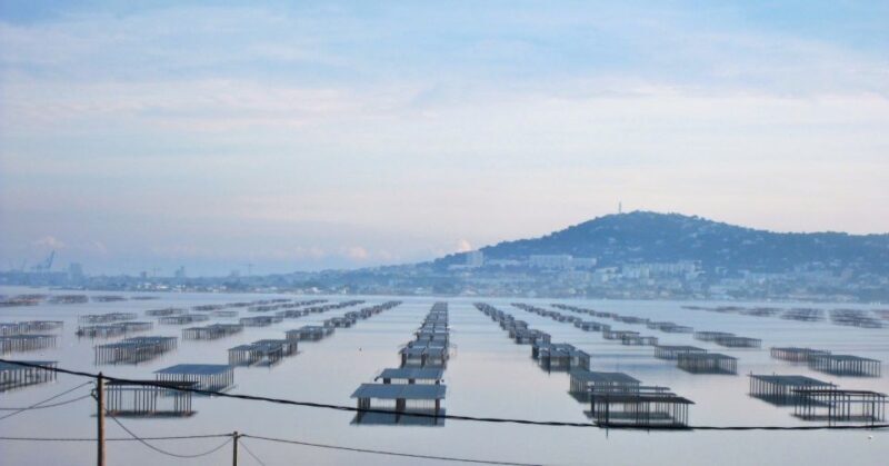 Montpellier Wine and Oyster Tour - Logistics and Practicalities