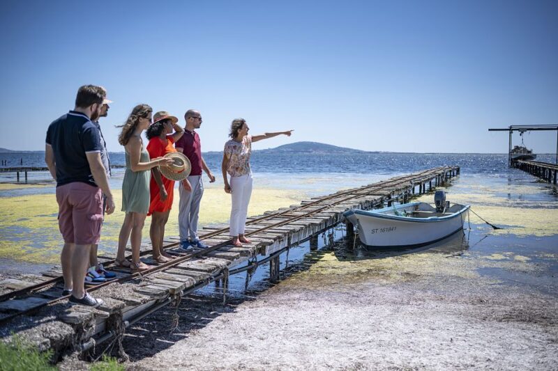 Montpellier Wine and Oyster Tour - Who Should Choose This Tour?