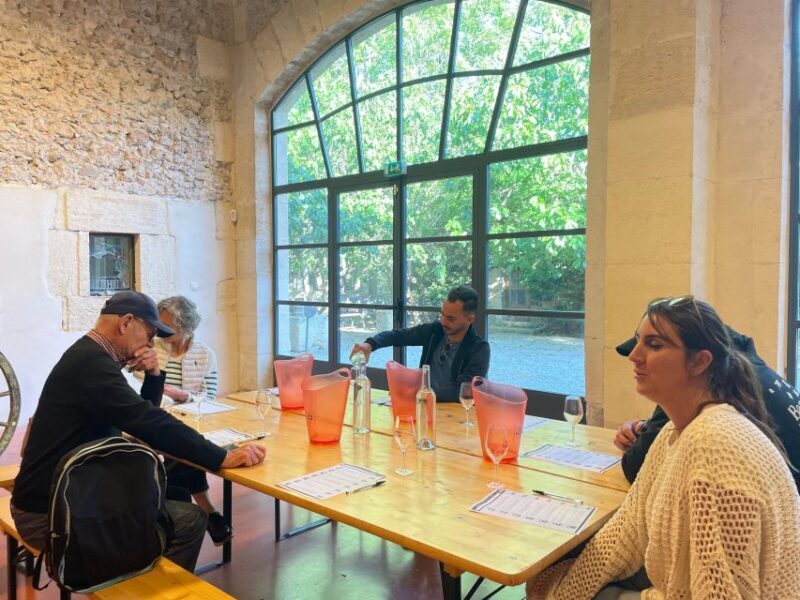 Montpellier:Discover the town of Sète, oysters and vineyards - Strolling Through the Vineyards of Muscat de Frontignan