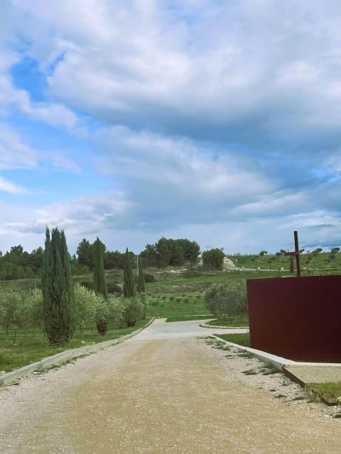 Montpellier:Journée Huile d'Olive, Vin, St Guilhem le Désert - Key Points