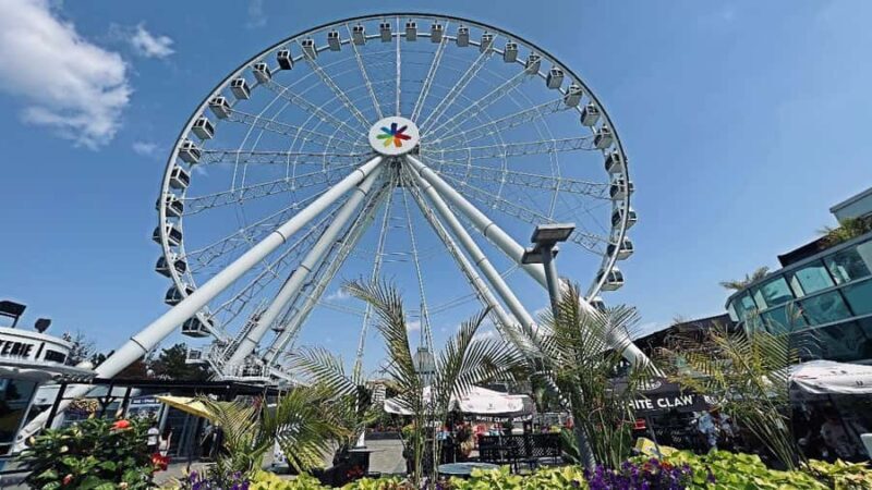 Montreal: 3-Hour Private Car Tour with Expert & Free Pickup - Authentic Experiences and Traveler Insights