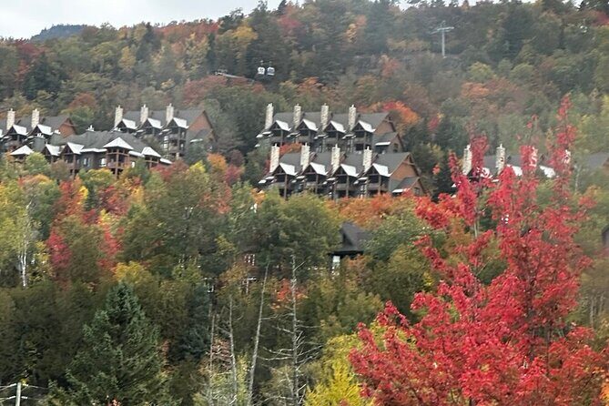 Montreal by Car: Mont-Tremblant Private Ski Resort Tour - The Sum Up