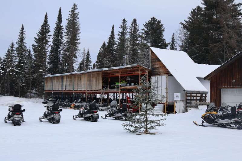Montreal: Canadian Forest Guided Tour by Snowmobile - An Overview of the Experience
