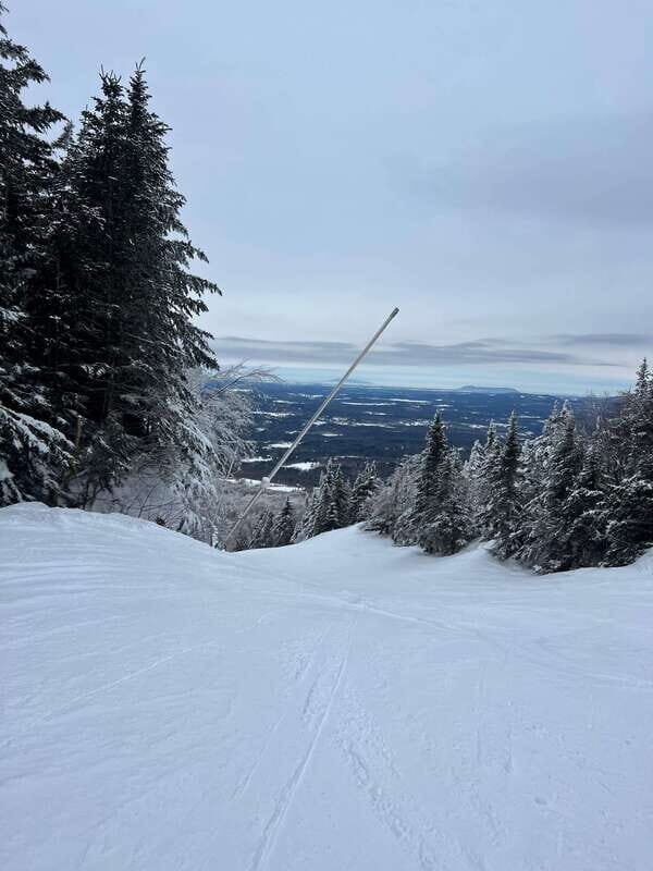 Montreal: Canadian Forest Guided Tour by Snowmobile - Authentic Reviews & Real Experiences