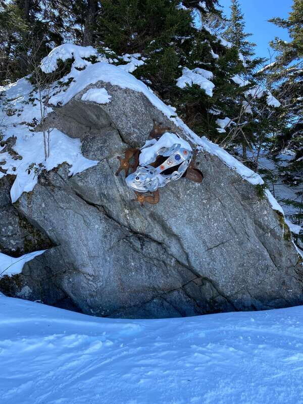 Montreal: Canadian Forest Guided Tour by Snowmobile - Final thoughts