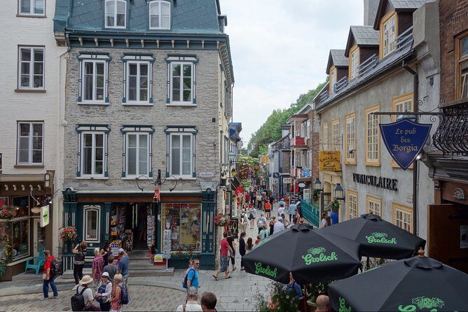 Montreal City Sightseeing Tour with Live Commentary - An In-Depth Look at the Tour Experience