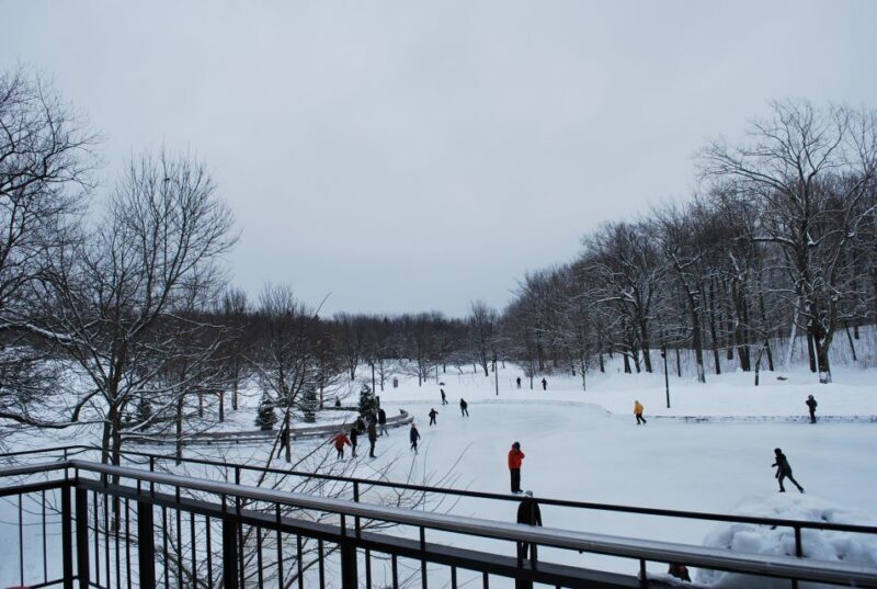Montreal: Full-Day Small Group City Tour - The Value of This Tour