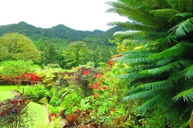 Montreal Gardens Tour with Trubb Taxi Tours - The Sum Up: Is It Worth It?