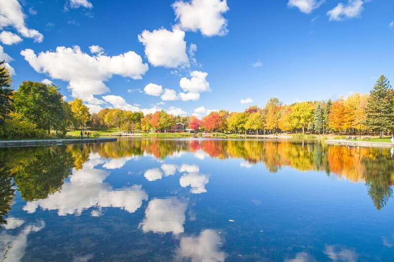 Montreal: Guided Bus Tour - Exploring Montreal in Just Over Three Hours