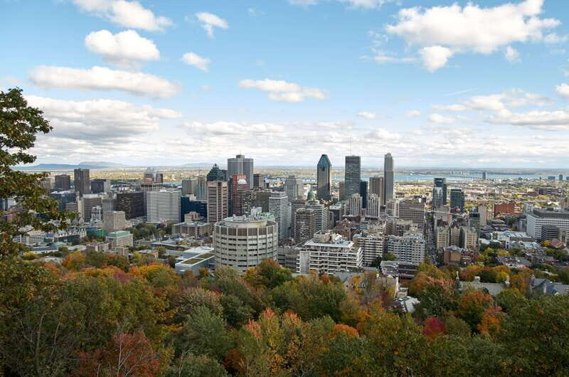 Montreal: Half-Day City Tour - Transportation and Group Dynamics