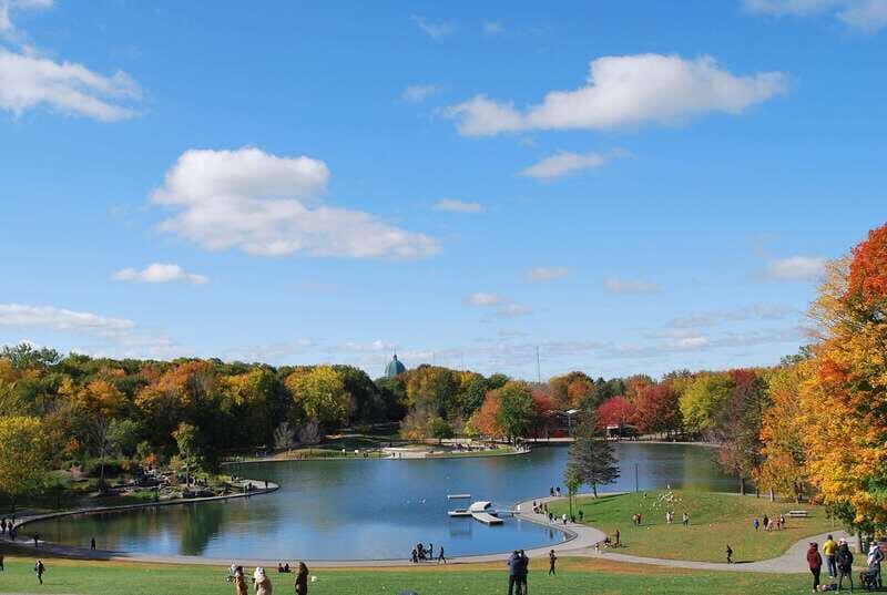 Montreal: Half-Day City Tour - Who Should Consider This Tour