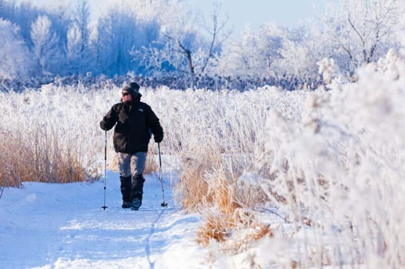 Montreal: Îles-de-Boucherville Entry Ticket and Snowshoeing - Exploring Îles-de-Boucherville in Winter: What to Expect