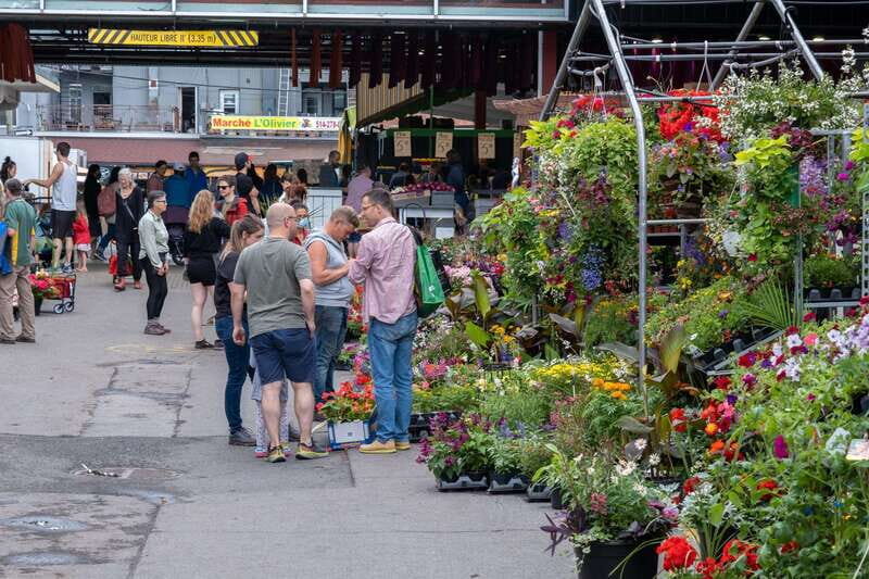 Montreal: Jean-Talon Market & Little Italy Highlights Tour - Montreal: Jean-Talon Market & Little Italy Highlights Tour — A Practical, Authentic Taste of the City