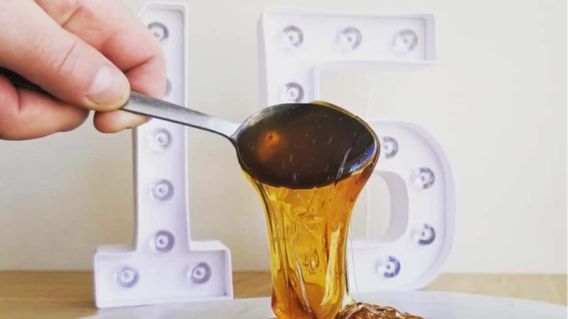 Montreal: Maple syrup tasting and conference - Key Points
