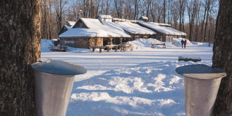 Montreal: Maple Syrup Tour with Sugar Shack & Local Cuisine - What the Tour Offers