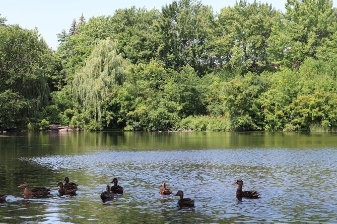 Montreal Mindfulness Walking Tour Experience - Key Points