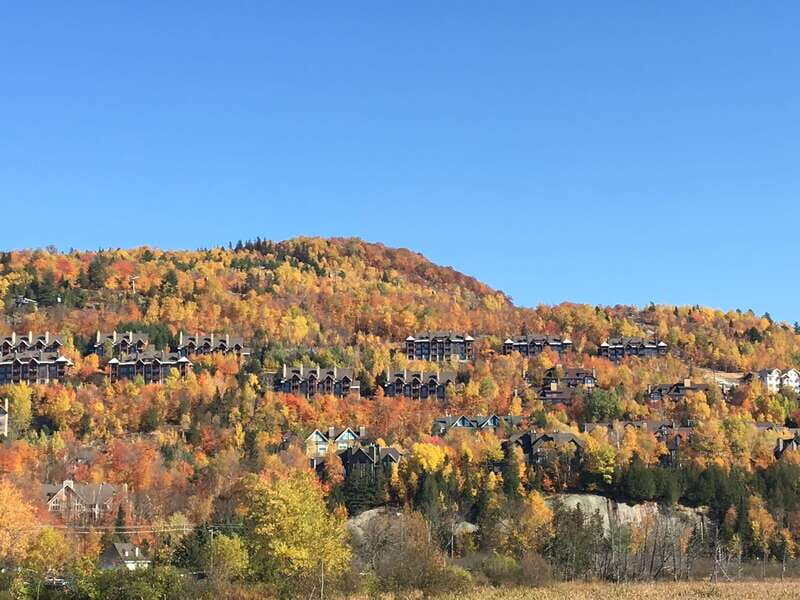 Montreal: Private Day Tour to Mont Tremblant - Final Thoughts: Who Is This Tour Best For?