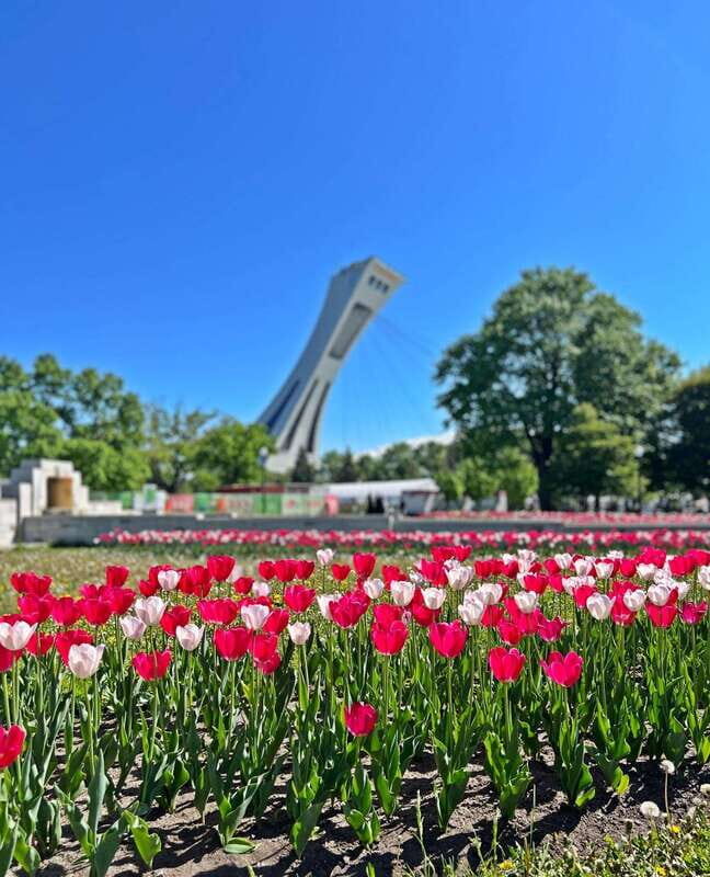 Montreal Private Walking Tour 2h Plus Video Experience 360° - Key Points