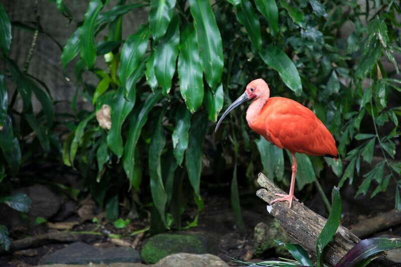Montreal: Skip-the-line Biodome Private Tour with Tickets - Practical Tips for Visitors