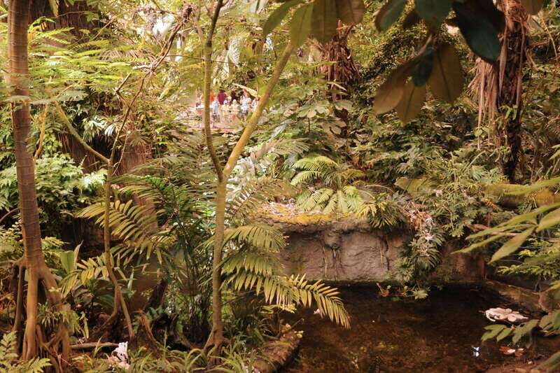 Montreal: Skip-the-line Biodome Private Tour with Tickets - The Sum Up