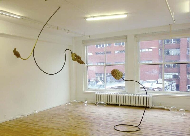 Montreal: The Belgo Galleries Guided Tour - The Itinerary: Making the Most of Your 2.5 Hours