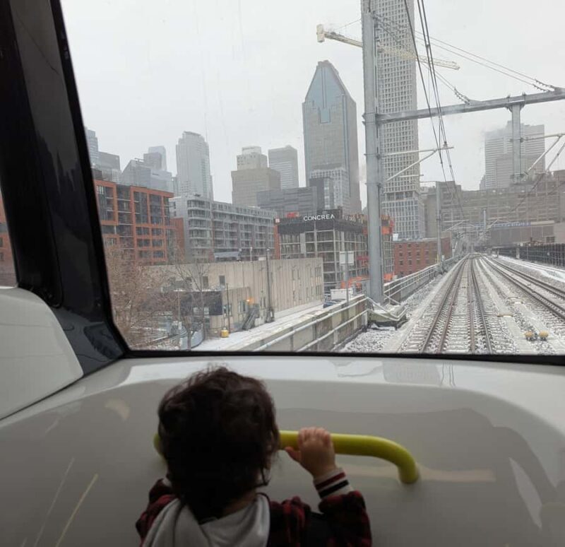 Montreal: Underground, Outside, and Panorama Walking Tour - Why This Tour Works for You