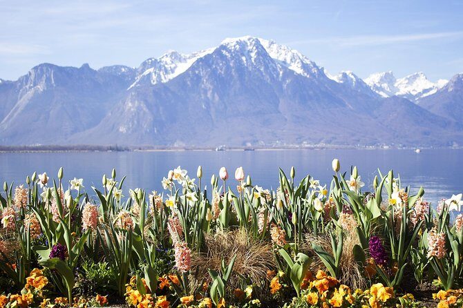 Montreux - Private Walking Tour - FAQ