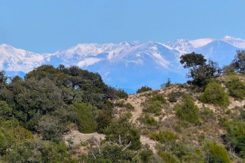 Montserrat: 6-Hour Tour with a Choice of 3 Levels of Hiking - How the Tour Begins: From Barcelona to the Mountain