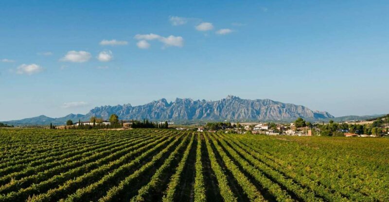 Montserrat & Cava Wineries Day Trip from Barcelona w/ Pickup - Who Should Consider This Tour?
