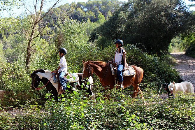 Montserrat Horseback Riding & Monastery Small Group Tour - Final Thoughts: Is This Tour Worth It?