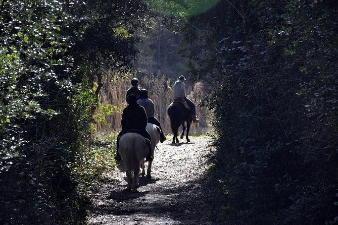 Montserrat Horseback Riding & Monastery Small Group Tour - FAQs