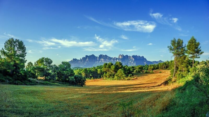 Montserrat: Private Half-Day Tour from Barcelona - A Closer Look at the Montserrat Private Tour