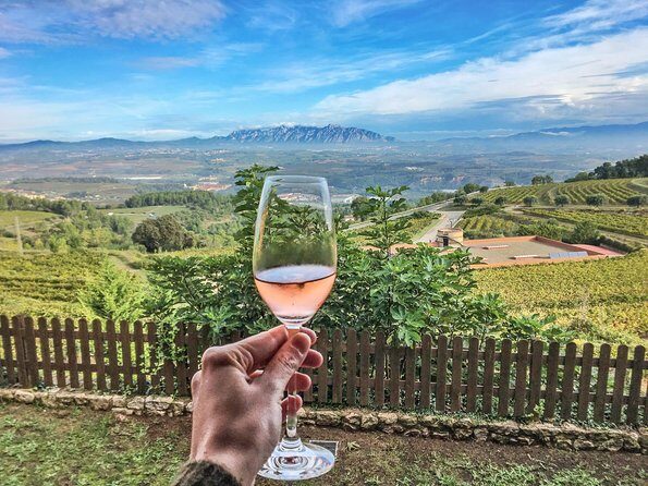 Montserrat Private Tour, Lunch & Wine Tasting in Penedes Winery - The Experience and Guides