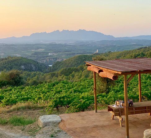 Montserrat Private Tour, Lunch & Wine Tasting in Penedes Winery - FAQ